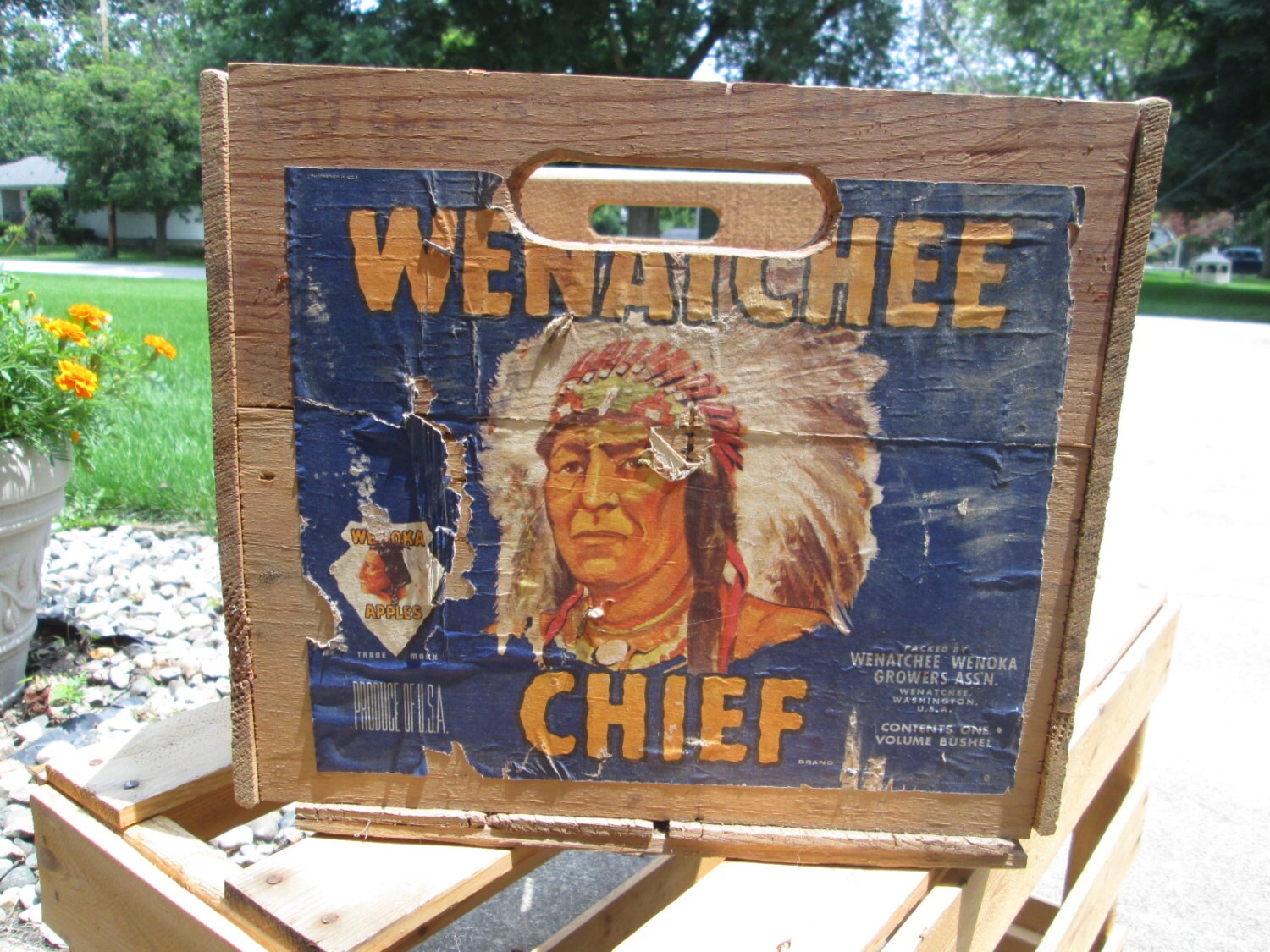 Rustic Wooden Crate Apple Box Wenatchee Chief Native American – Haute Juice