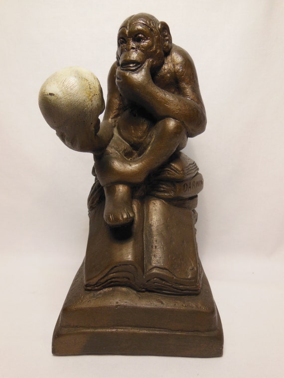 Monkey Ape Holding Human Skull Statue Sculpture Austin