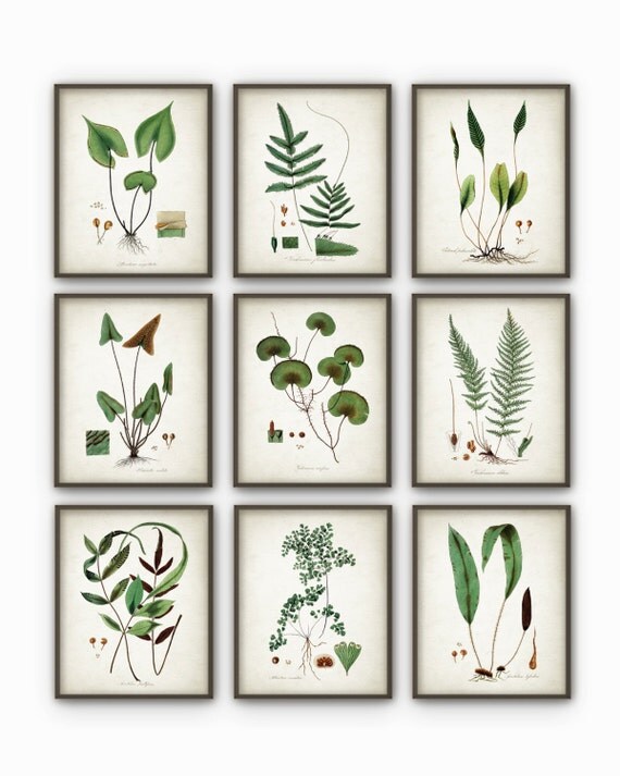 Green Plant Wall Decor Set Of 9 Botanical Art Posters
