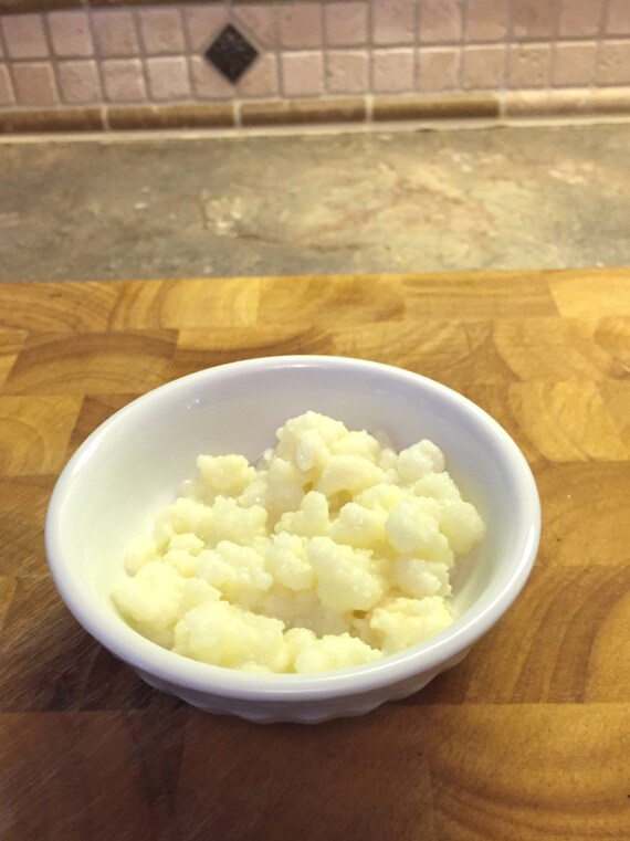 Live Milk Kefir Grains Only Grown in Whole Raw Milk Drink
