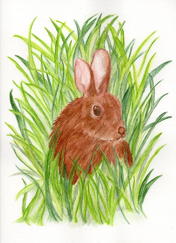 Items similar to bunny in tall grass watercolor giclee print on Etsy
