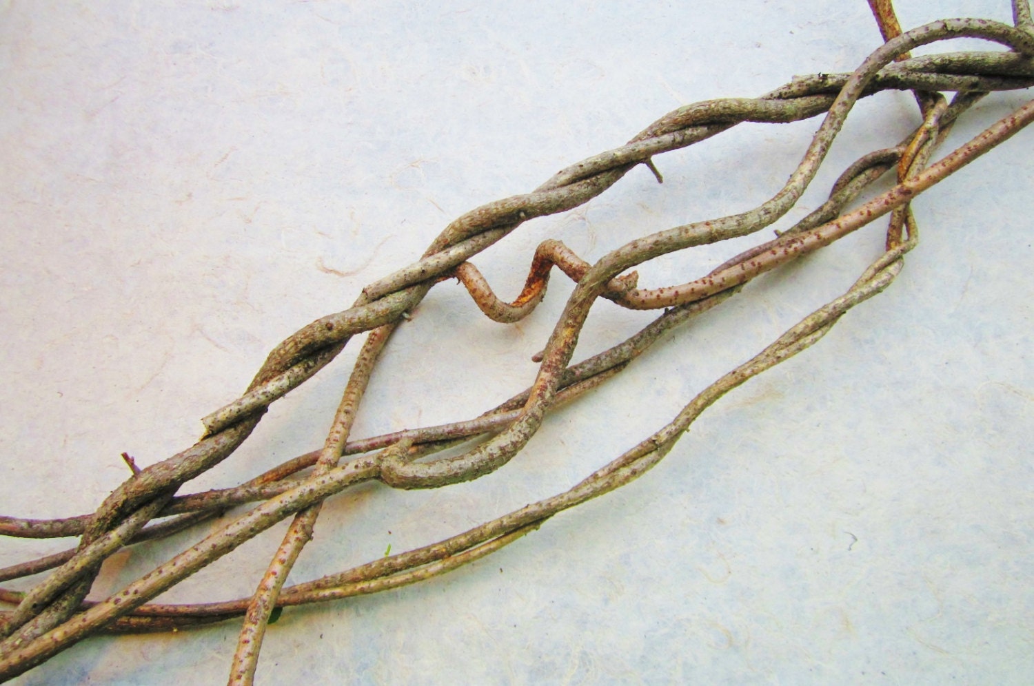 Twisted Vine Twigs Bittersweet Vines Craft Supply Wreath