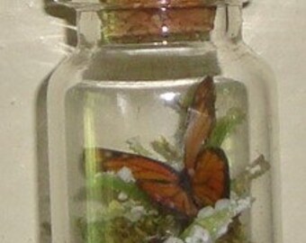 Butterfly terrarium | Etsy