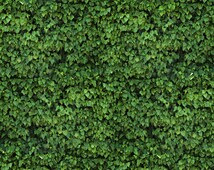 Popular items for forest backdrop on Etsy