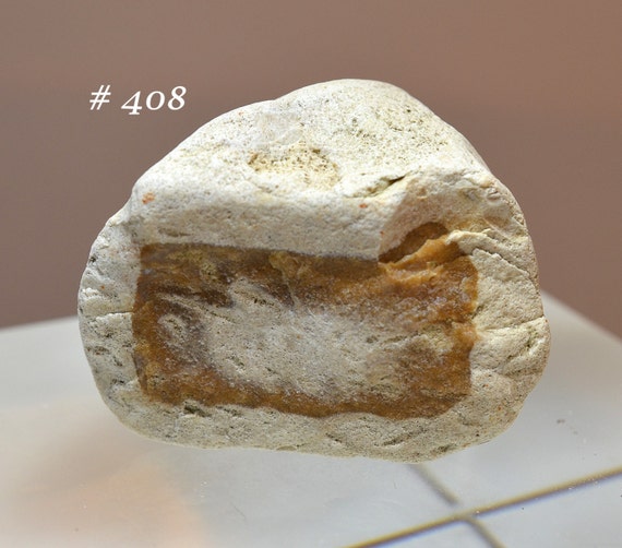 Caramel and White Chert Nodule Sedimentary Stone