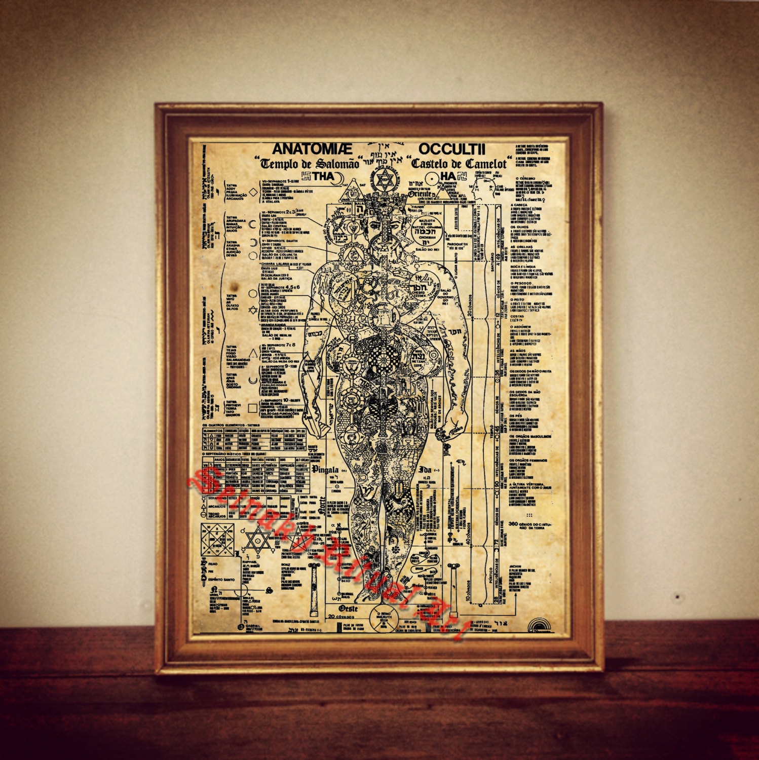 Occult anatomy of human poster magic anatomical canvas print