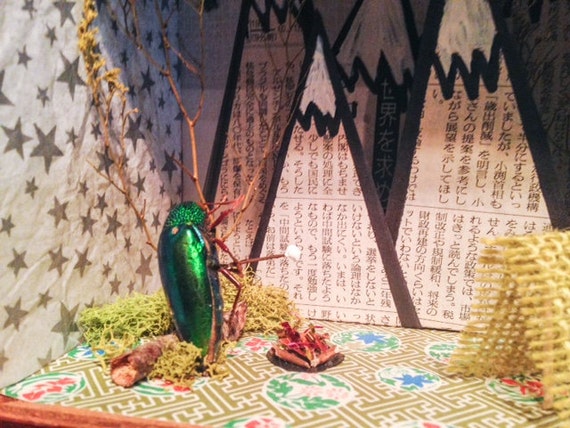 Insect Diorama Gone Camping