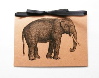 Elephant cards | Etsy