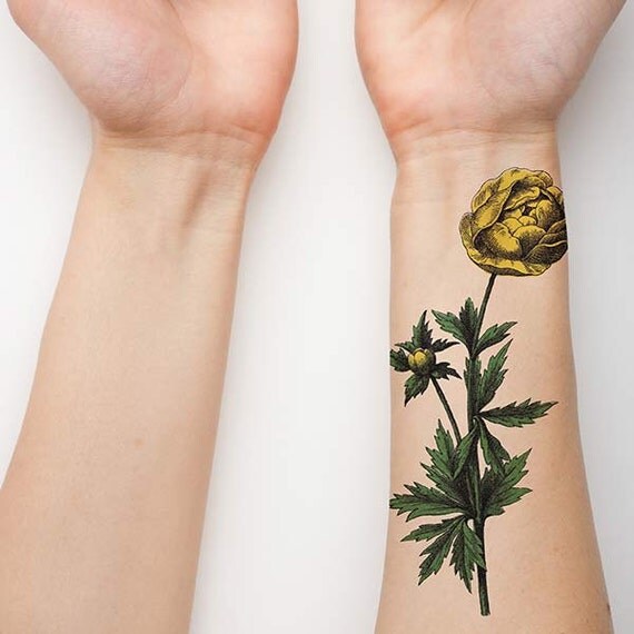 Yellow Bellied Temporary Tattoo Set of 2