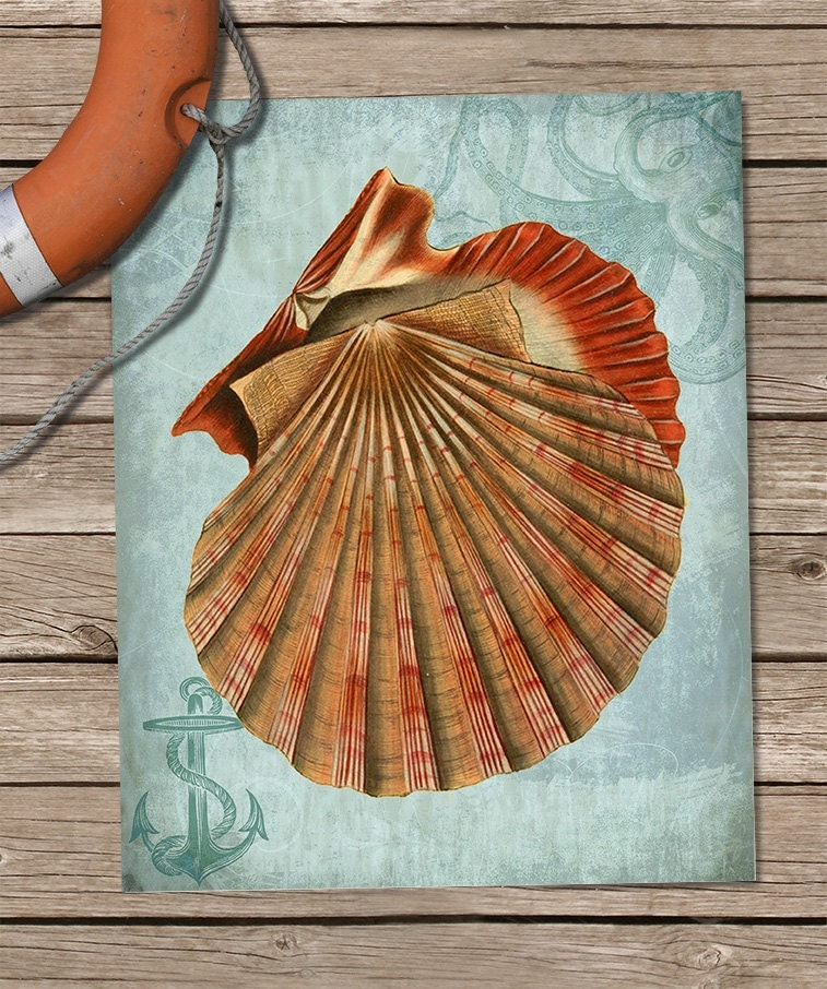 Sea shell print Coastal Life Shell 1 seashell print seashell