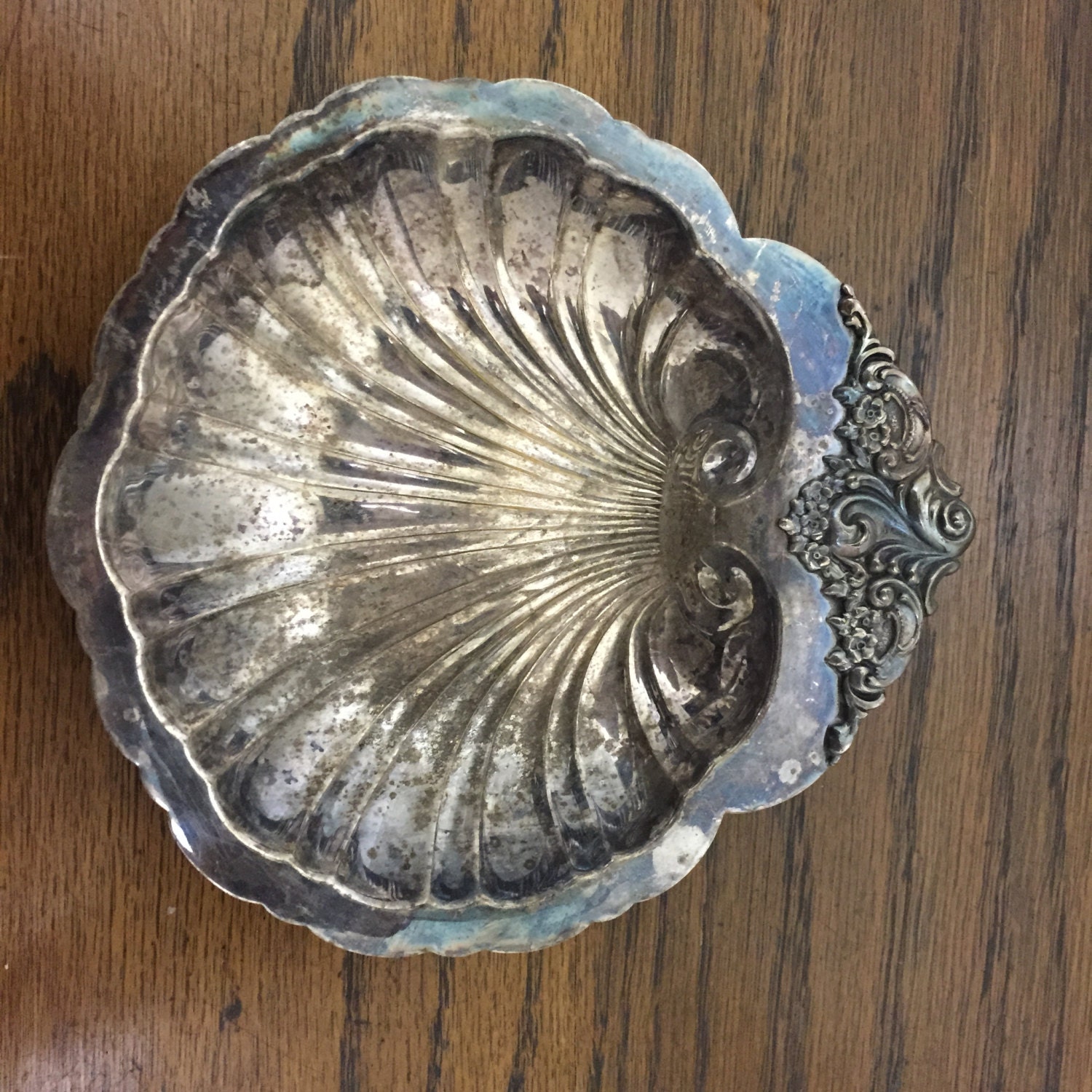 Baroque by Wallace Silver Plated Clam Shell Candy Dish – Haute Juice