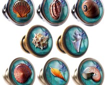 Unique sea shell knobs related items | Etsy