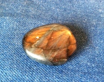 Popular items for madagascar palm on Etsy