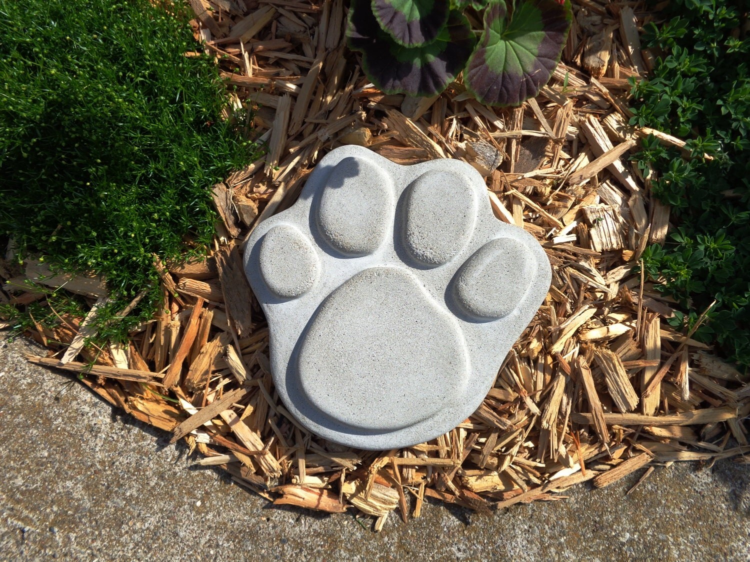 Concrete Paw Print Pet Memorial Stone Garden Stepping concrete-paw-print-pet-memorial-stone-garden-stepping