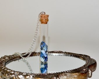 Test Tube Necklace Vial Necklace Glass Vial Feather in a