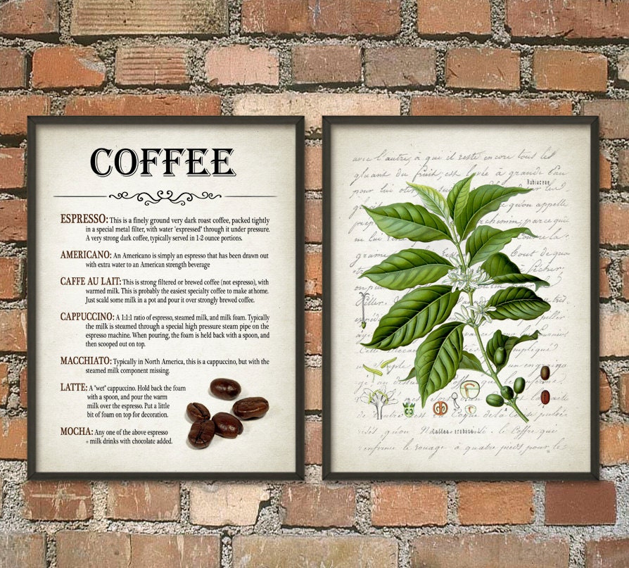 Coffee Wall Art Poster Set of 2 Coffee Types by QuantumPrints