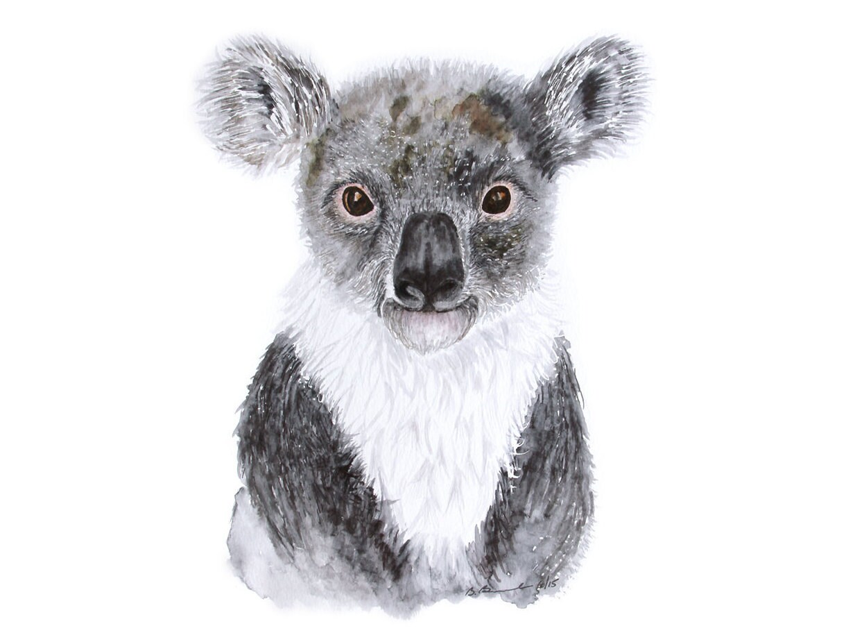 Koala Art Print Outback Nursery Decor by TinyToesDesign on Etsy