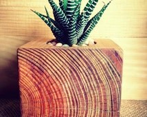 Popular items for fence post on Etsy