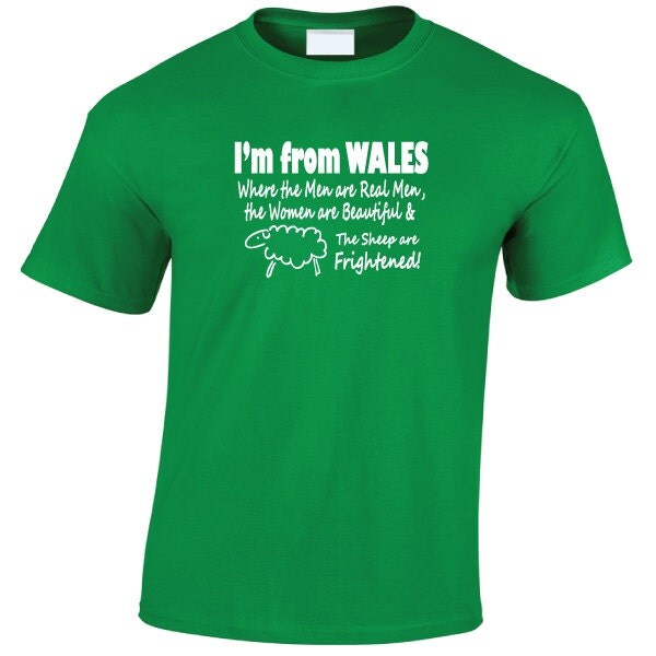 I'm from Wales T-Shirt. Funny Welsh Shirt. Welsh Slogan