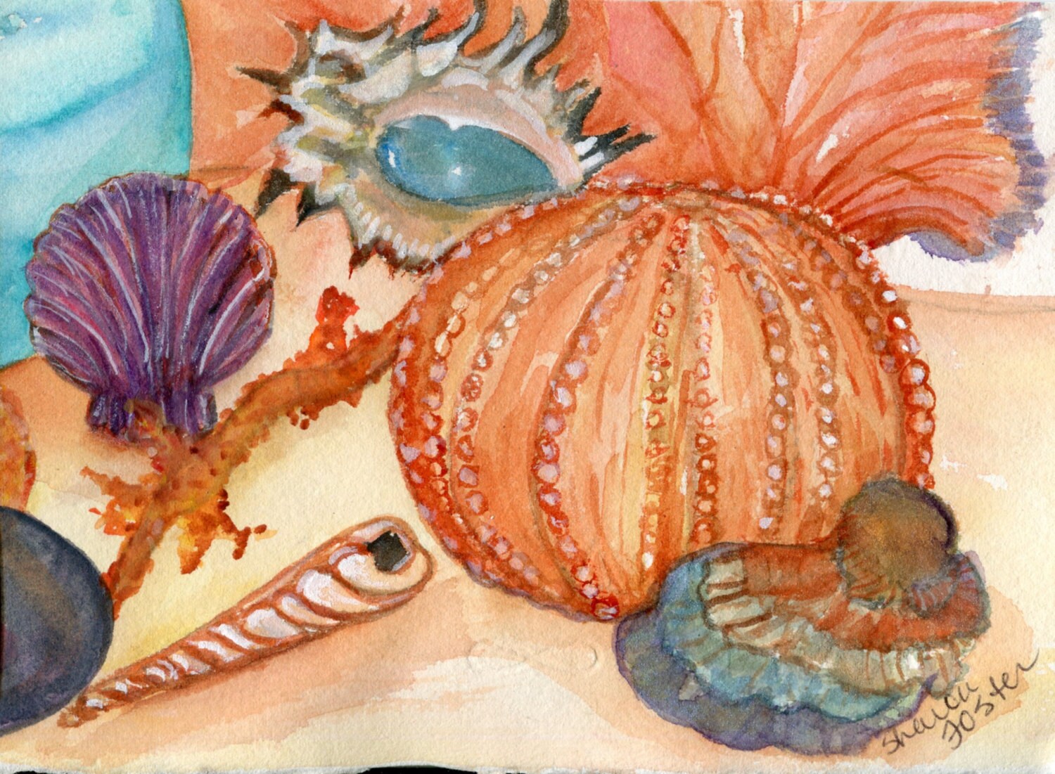 Seashells watercolor painting original painting of seashells