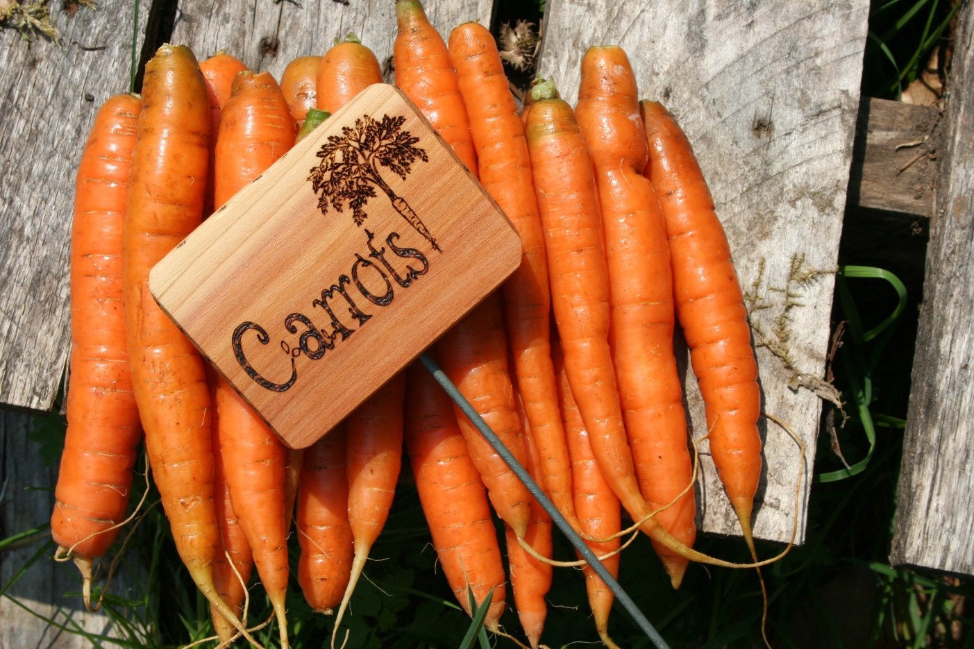 Cedar Garden Sign Carrots Garden Sign Wooden by woolymossroots