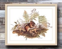 Popular items for chipmunk art on Etsy