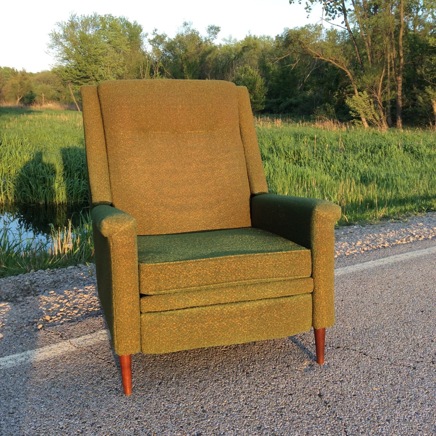 Flexsteel Recliner – Haute Juice