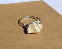 Popular items for silver seashell ring on Etsy