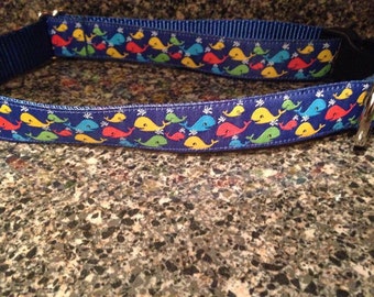 Items similar to Nemo Clown Fish Dog Collar and Leash Set on Etsy