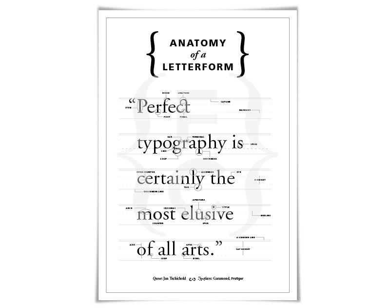 Anatomy of a Letterform Typeface Poster Type by FolioCreations