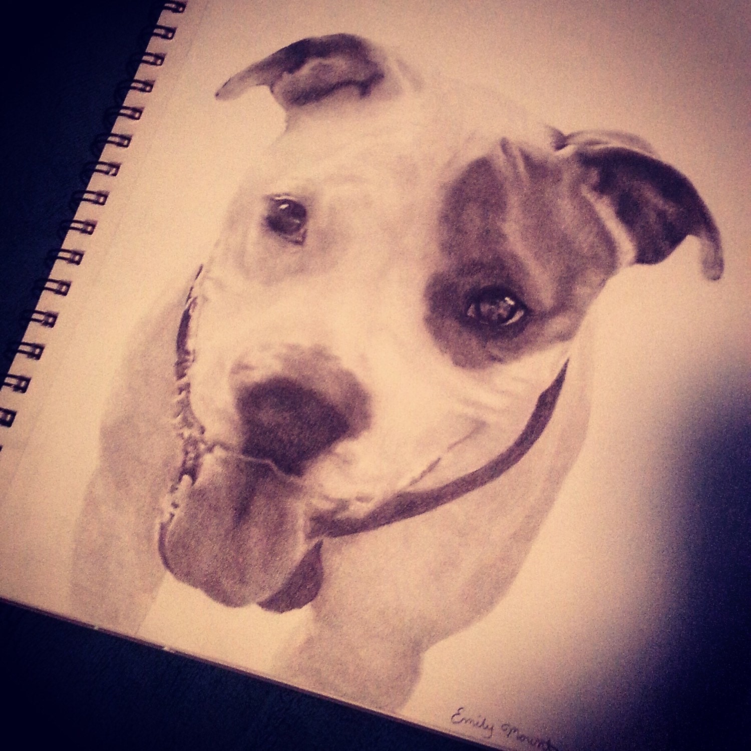 Custom Pet Drawing: To Exhibit or Honor your Best by TouchAWetNose