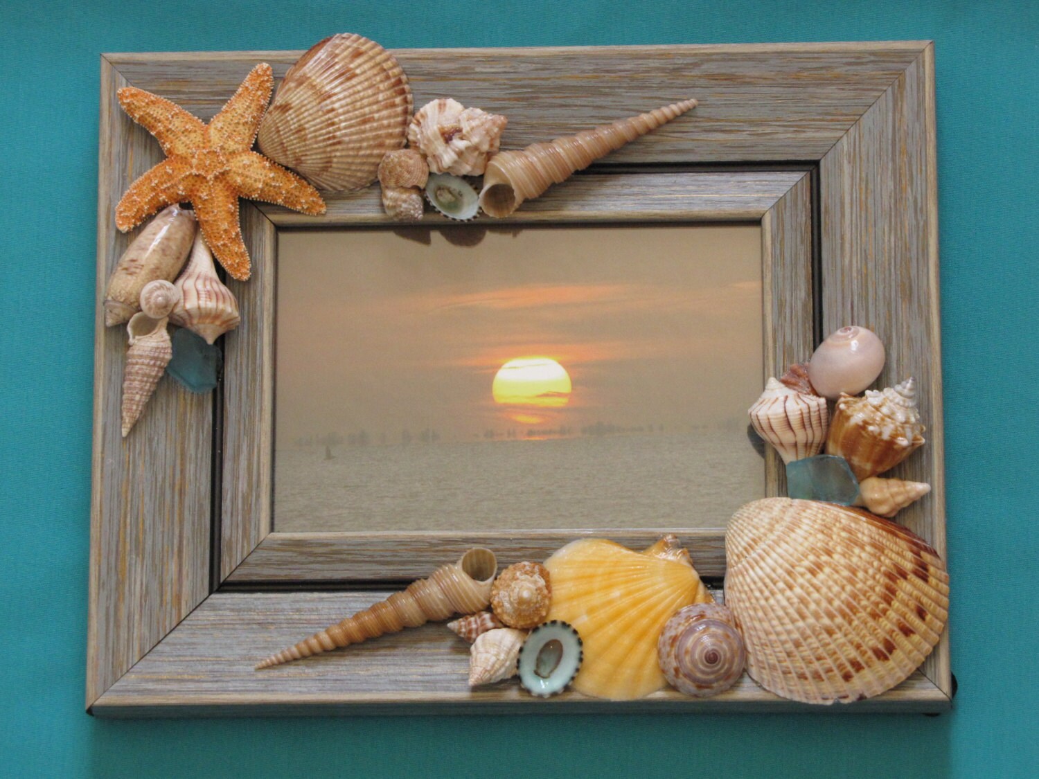 Seashell Photo Frame Shell Picture Frame Beach Decor Beach