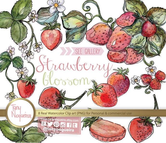 Strawberry Blossom clip art images watercolor hand painted PNG
