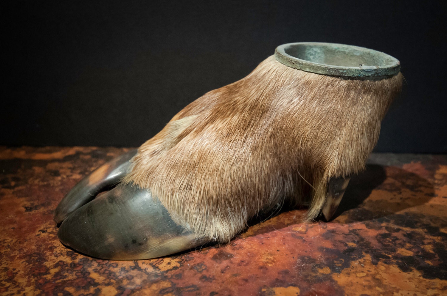 Antique Taxidermied Elk Foot Ashtray