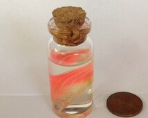 Popular items for wet specimens on Etsy