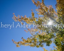 Popular items for sun art on Etsy