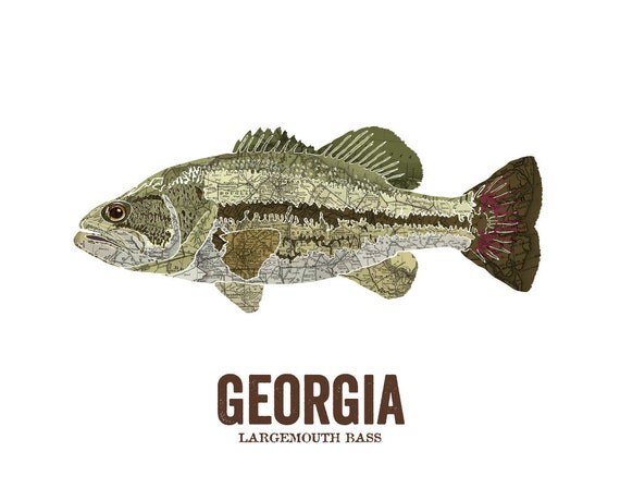 Georgia State Fish Map art Nature Outdoor art by WoodenPencilCo
