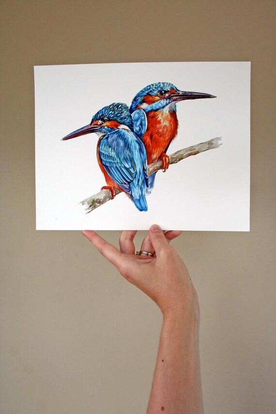 Items similar to European Kingfisher Pair 2 - Archival Quality Print on ...