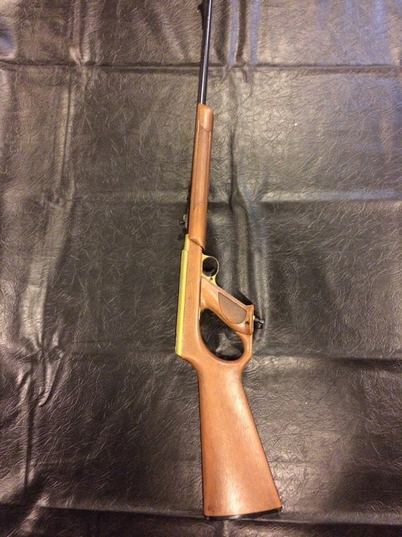 Ted Williams Daisy BB gun like Daisy model 300