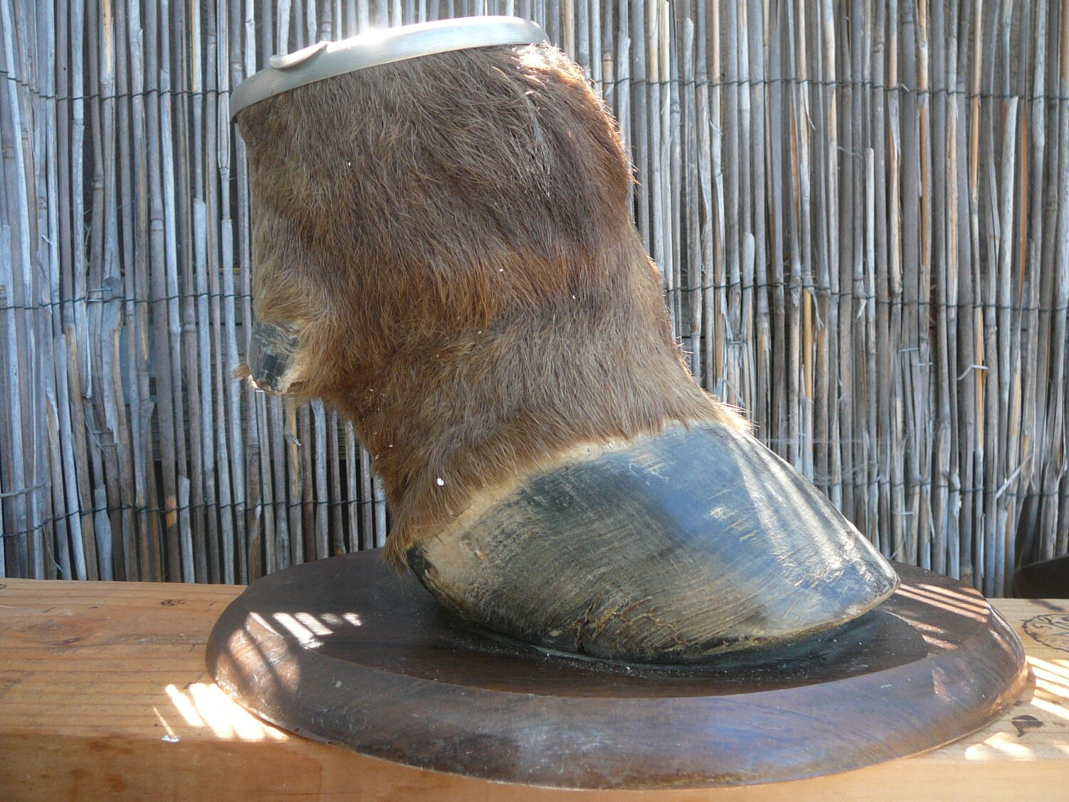 cow huff ashtray by curiosities77 on Etsy