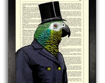 Popular items for parrot poster on Etsy