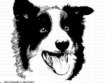 Collie stencil | Etsy