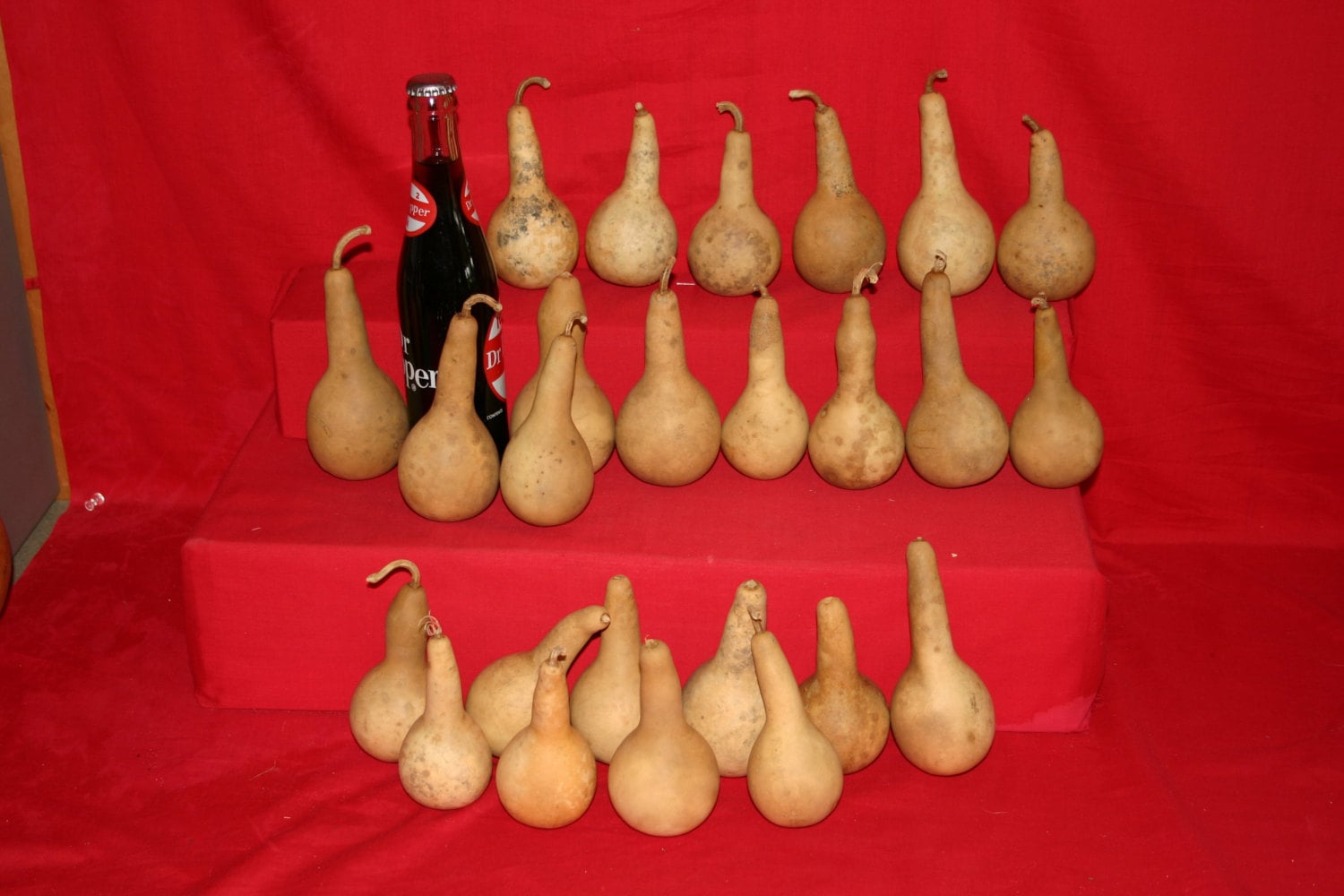 50 Mini Long Handle Dipper Gourds ( Dried & Cleaned)