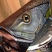 Painted Mailboxes Tarpon