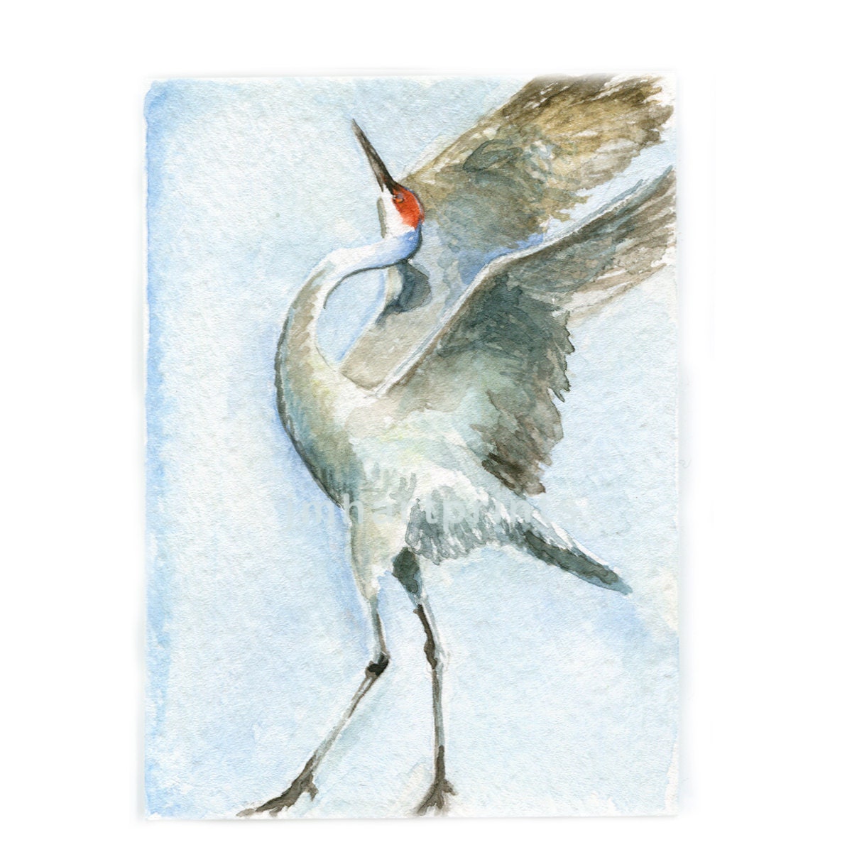 Watercolor Crane Crane Print