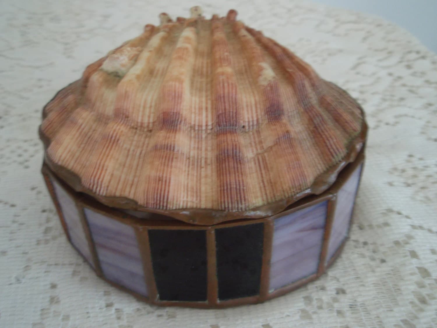 Stained Glass Box with Real Sea Shell Lid, Stain Glass shell box,Hinged ...