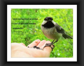Chickadee Quotes
