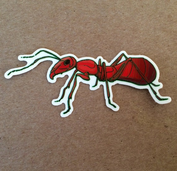 ant sticker one vinyl sticker