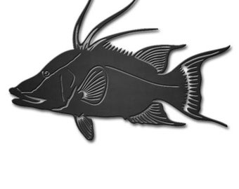 Hogfish | Etsy