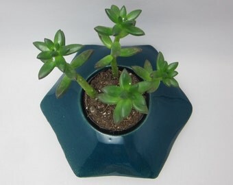 Hexagon plant pot | Etsy